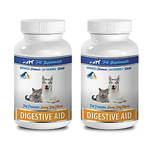 Dog Digestive Support - Pet Digestive Aid - Probiotics - for Dogs and Cats - Chewable - Beef Liver Treats - 2 Bottle (120 Chews)