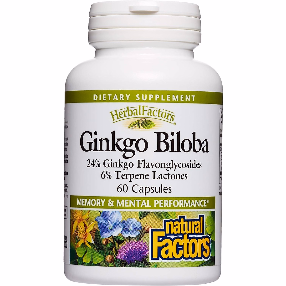 HerbalFactors by Natural Factors, Ginkgo Biloba, Supports Memory, Mental Performance and Healthy Brain Function, 60 capsules (60 servings)