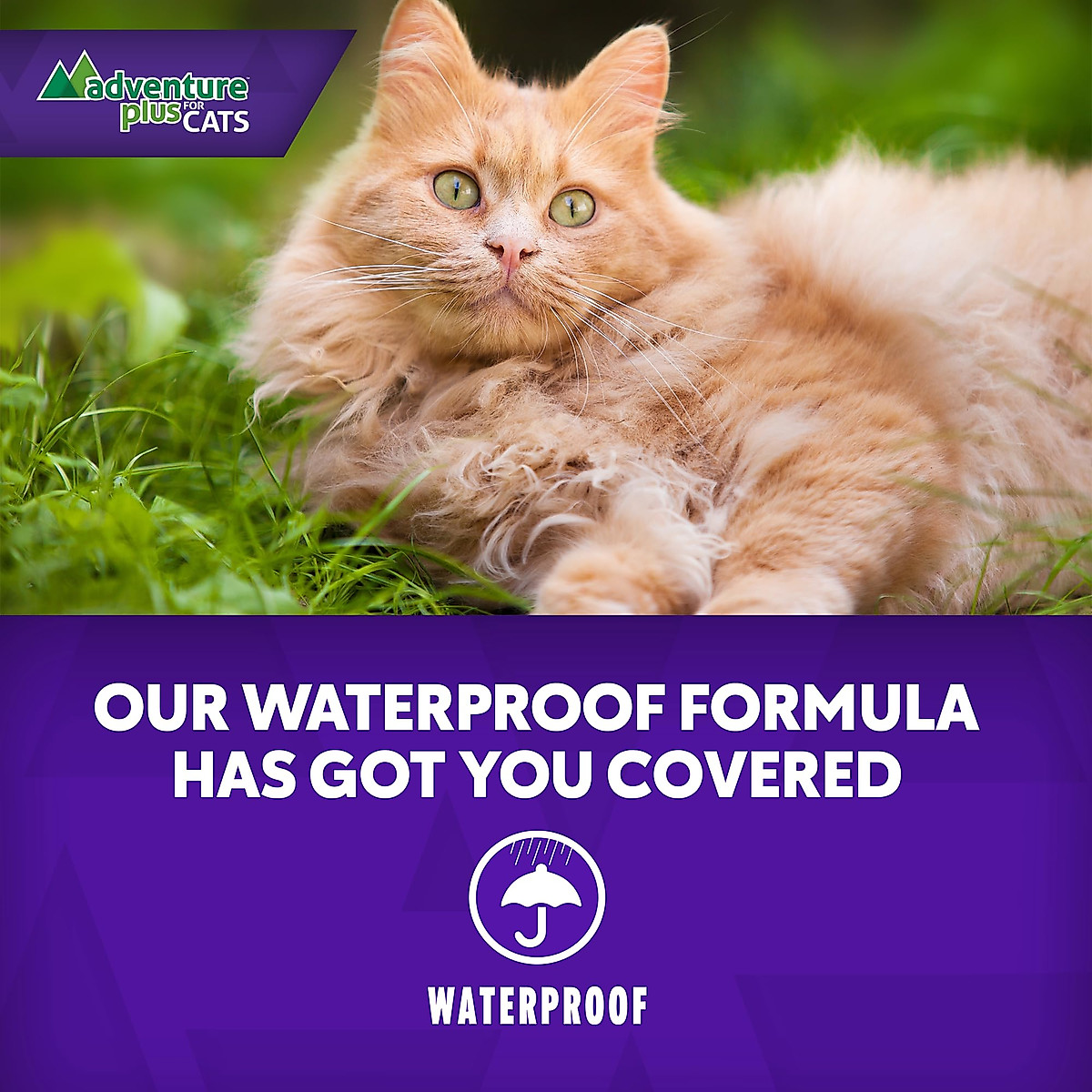 Adventure Plus Triple Flea Protection for Cats – Spot on Flea & Tick Prevention for Cats 9lbs & over – 4 Doses