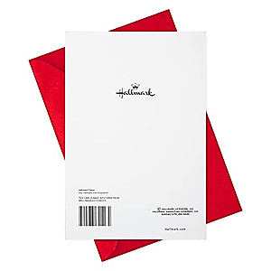 Hallmark Christmas Cards, Season's Best (10 Cards with Envelopes)