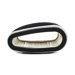 AISEN Air Filter for AM104560 M97211 170 175 240 245 260 265 285 320 F510 F525 LX178 LX186 LX188 GT242 GT262 GT275 GS25 Kawasaki FC400V FC401V FC420V Shut Off Cut-Off Valve