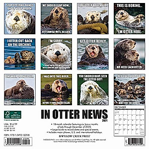 In Otter News 2021 Wall Calendar
