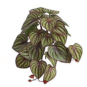 XISAOK Artificial Reptile Plants Lifelike Terrarium 3D Printed Leaves Amphibian Plant Tank Habitat Decoration for Iguana Turtle reptile plants for terrarium tropical habitat for bearded dragon snake