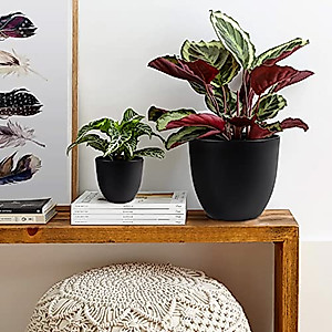 Giraffe Creation Plant Pots 7/6/5.5/5/4.5/4 inch, 6 Pack Flower Pots Outdoor Indoor, Planters with Drainage Hole and Tray, Black