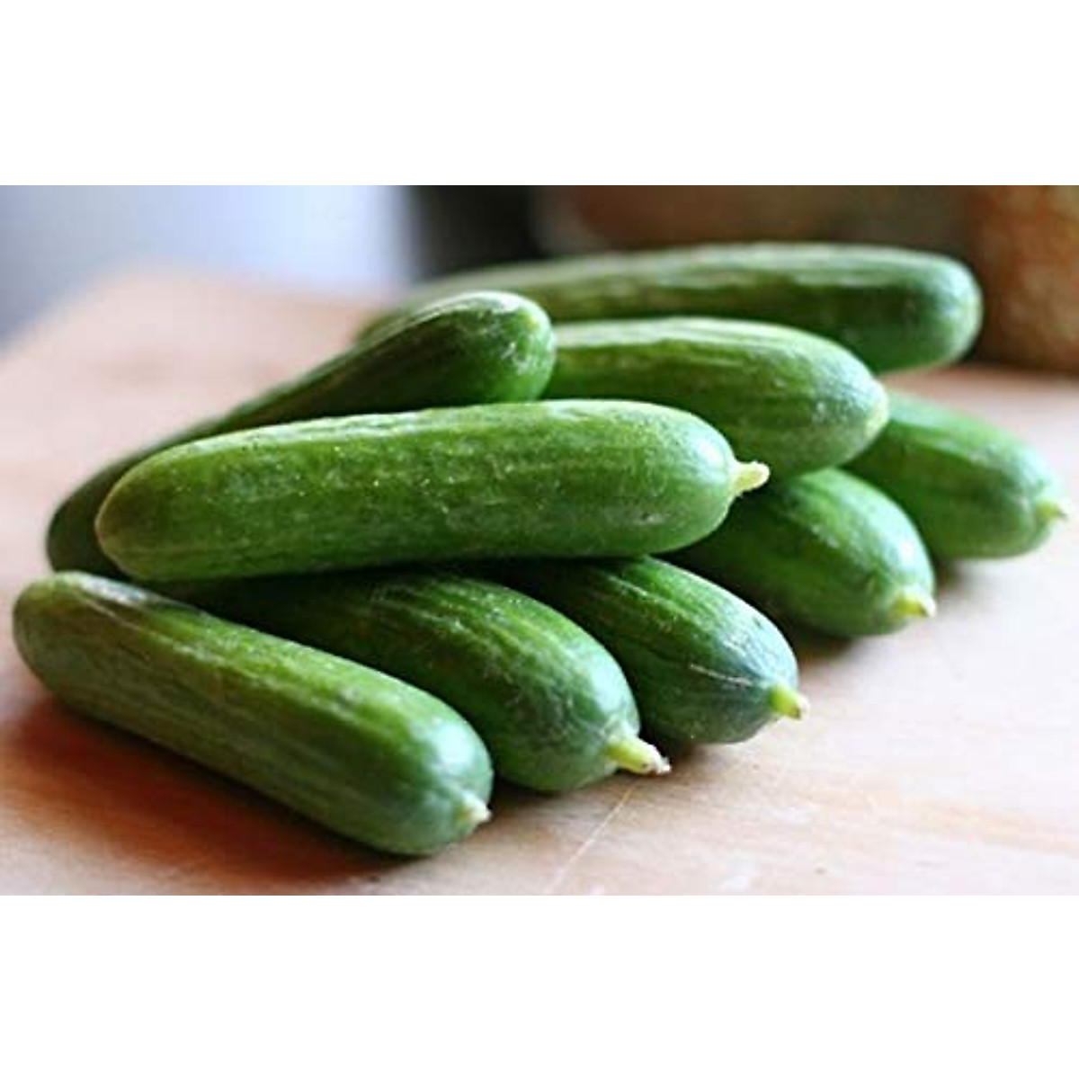 Persian Middle East Cucumber Seeds high yields of 5 to 7" Long Sweet Cucumbers(25 - Seeds)