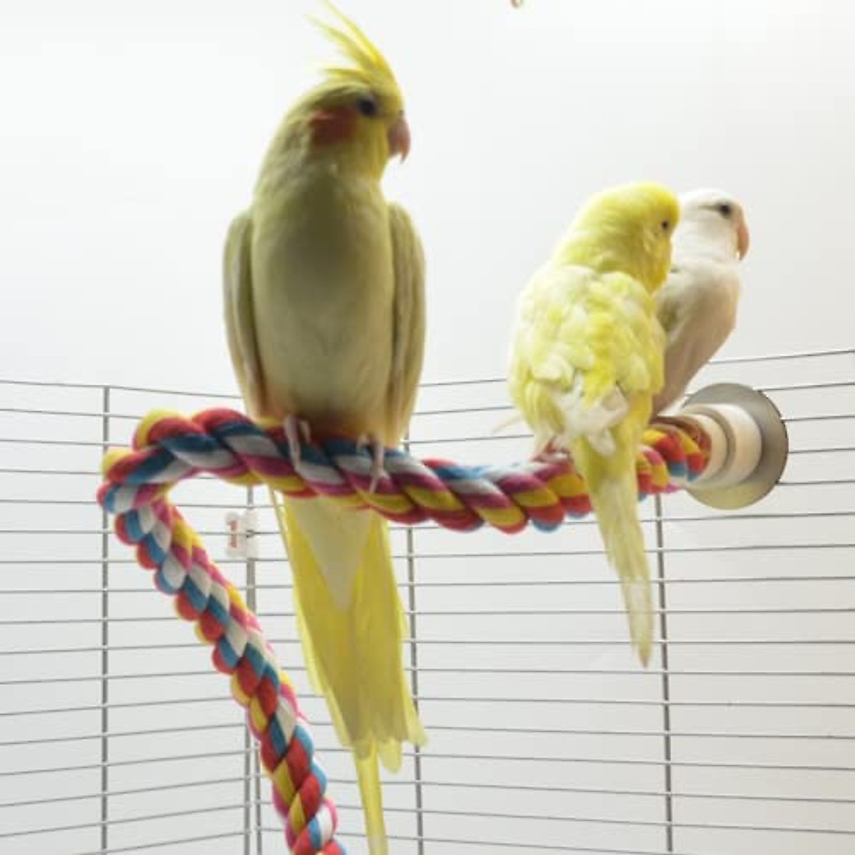 Bird Rope Perches, Colorful Cotton Parrot Toys Comfy Perch for Rope Bungee Bird Toy for Parakeets, Cockatiels, Conures, Lovebirds, Budgie (Large)