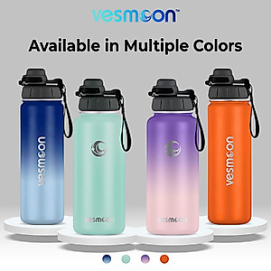 Vesmoon 32 Oz Tea Infuser Bottle - Insulated Water Bottle, Loose Leaf Tea Infuser with Straw & Chug Lid Tea Infuser Flask, Stainless Steel Tea, Coffee & Fruit Infuser Bottle - Leak Proof Roamer Series