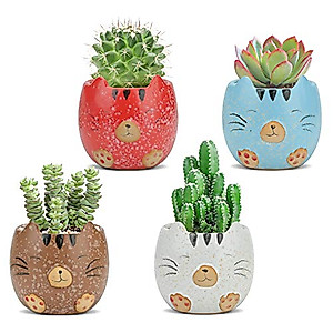 T4U Animal Succulent Pot Ceramic 3.5 Inch Set of 4, Small Cute Tabby Cat Planter with Drainage Hole for Cactus Bonsai Herb Plants, Colorful Cartoon Container for Cat Lovers Indoor Home Decoration