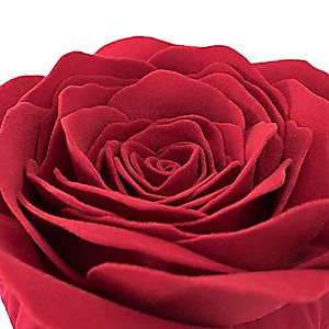 JWH 3D Flower Throw Pillow Cover Aesthetic Decorative Rose Floral Accent Pillow Case Round Cushion Handmade Pillowcase Couch Bed Living Room Chair Bedroom with Insert 14 Inch Red