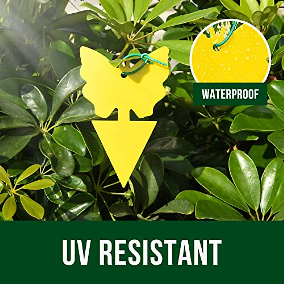 Garsum Gant Traps for Indoors,Fruit Fly Bugs Trap, Yellow Sticky Fungus Knit Killer for Houseplant,Mosquito, Flying Insert, White Flies,18 Pack