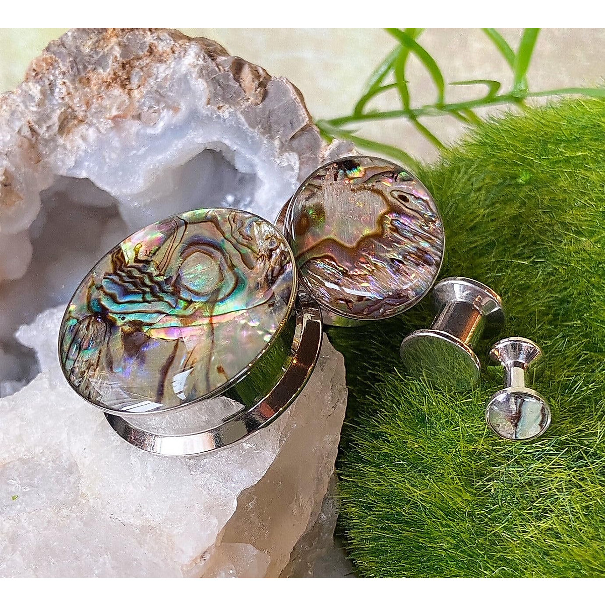 Lobal Domination PAIR Abalone Inlay Steel Screw Fit Plugs Tunnels Earlets Gauges Pierced Body Jewelry (6g (4mm))