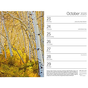Audubon Engagement Calendar 2023: A Tribute to the Wilderness and its Spectacular Landscapes