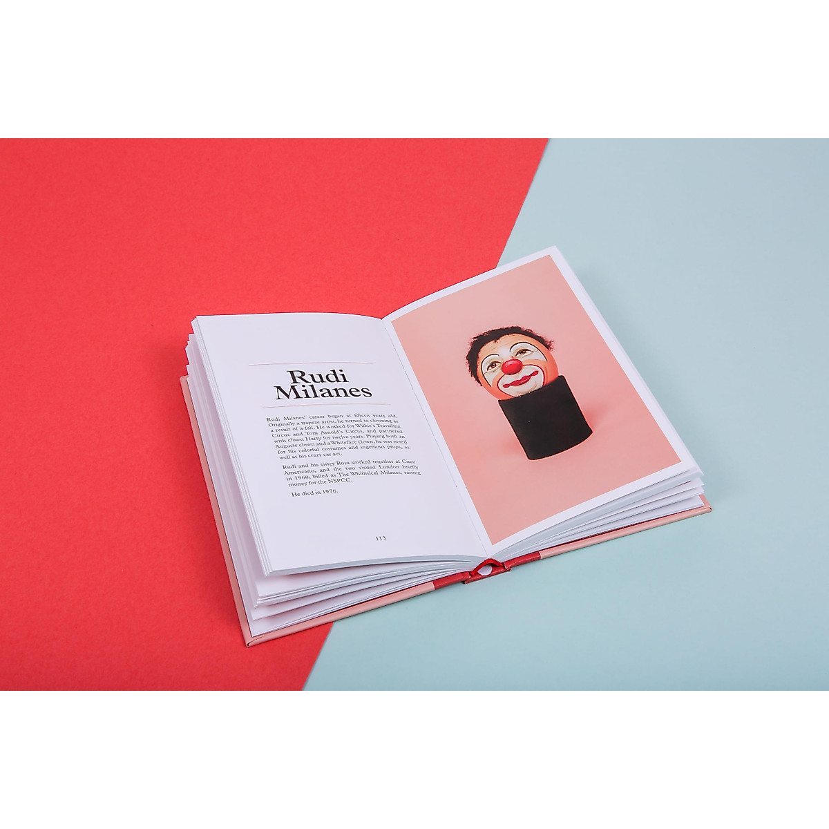 The Clown Egg Register: (Funny Book, Book About Clowns, Quirky Books)