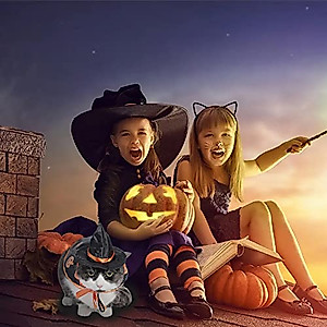 Cat Costume Pet Wizard Clothes Witch Cosplay Cloak for Cats and Puppy