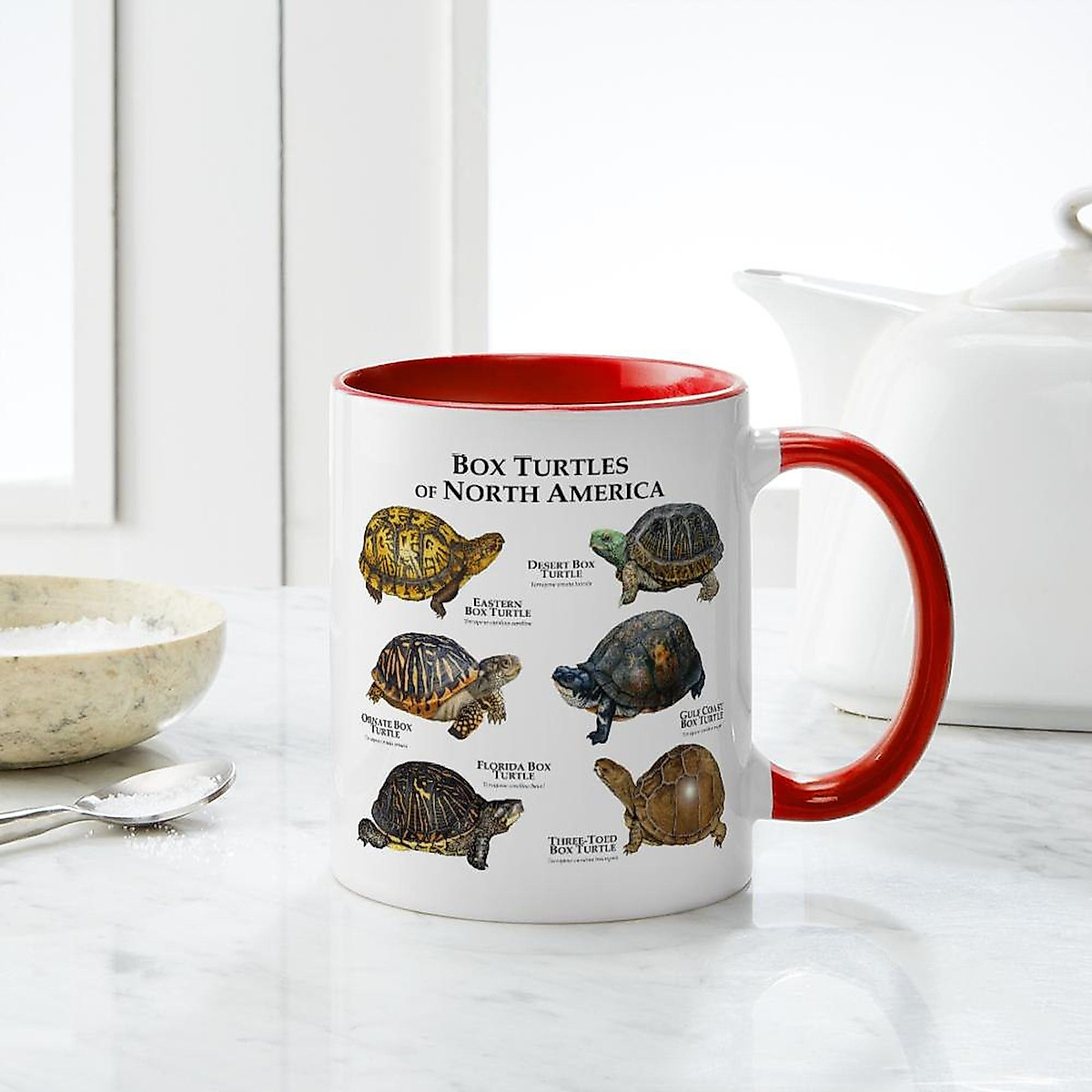 CafePress Box Turtles Of North America Mug Ceramic Coffee Mug, Tea Cup 11 oz