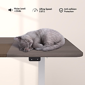 Tangkula 55 x 28 Inch Large Electric Standing Desk, Height Adjustable Sit to Stand Desk with Powerful Motor & Anti-Collision Design, Ergonomic Stand Up Workstation with Metal Frame, Home Office Desk