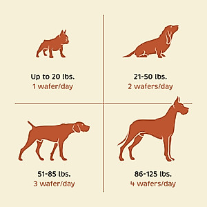 Spirited Paw Health + Vitality for Dogs - Pet Supplement for Immune System, Coat, Liver Health & More - Dog Multifunctional Support with Choline, Calcium, Zinc, & Vitamins D and A - 90 Chewable Wafers