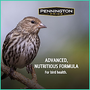 Pennington Pride Wild Finch Blend, Wild Bird Seed for Outside Feeders, Special Mix for a Variety of Musical & Colorful Birds, Great to Feed Year-Round, 10-lb. Bag