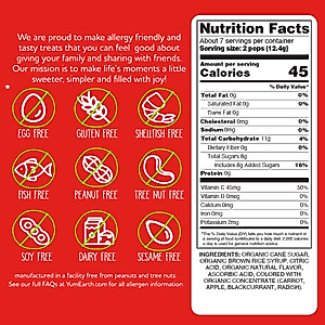 YumEarth Organic Pops Variety Pack, 14 Fruit Flavored Favorites Lollipops, Allergy Friendly, Gluten Free, Non-GMO, Vegan, No Artificial Flavors or Dyes