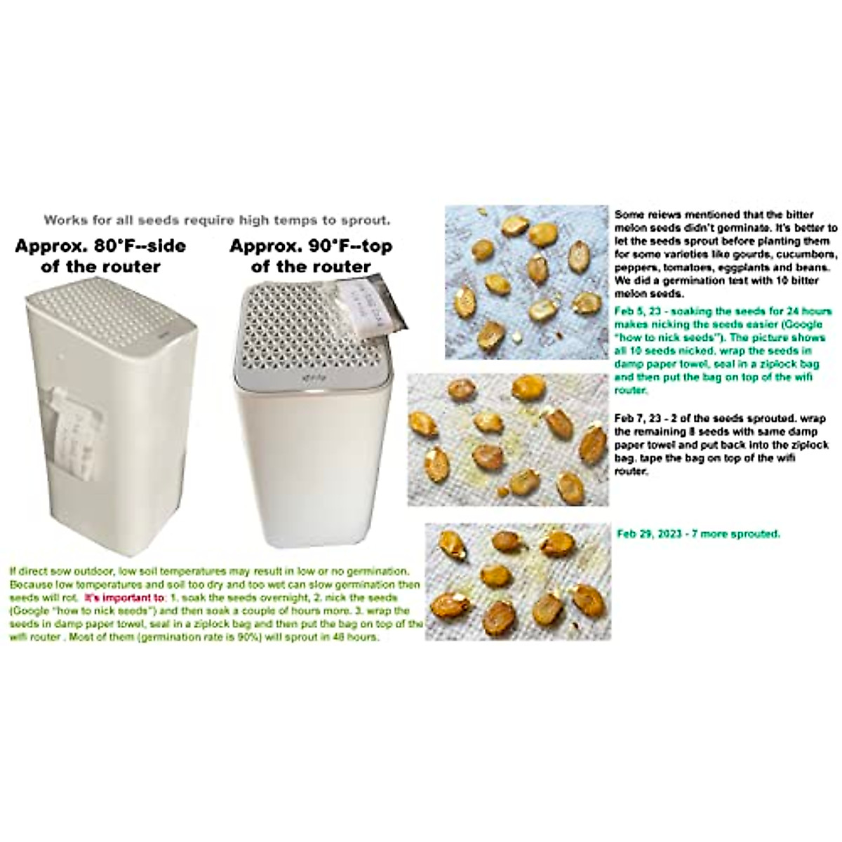 Asian Bitter Gourd Seeds for Planting Vegetables and Fruits(苦瓜).Vegetable Seeds at Home Vegetable Garden & Hydroponics Seed Pods-Bitter Melon Seeds for Planting-10 Tai Guo Bitter Melon Plant Seeds