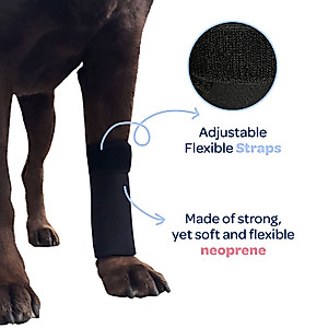 Labra Dog Canine Front Leg Compression Brace Wrap Sleeve, Protects Wounds, Braces, Heals, and Prevents Injuries and Sprains, Helps with Loss of Stability Caused by Arthritis - Large/Extra Large