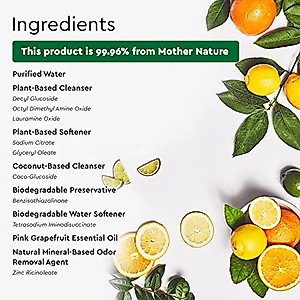 Puracy Professional Carpet Cleaner Machine Detergent, 4x Concentrated Upholstery Cleaner, Natural Carpet Shampoo, Pet Stain Remover & Deodorizer, Makes 20 Gallons of Cleaning Solution, 25 Ounce