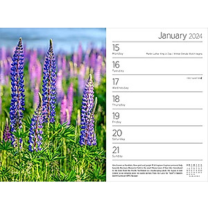 Audubon Engagement Calendar 2024: A Tribute to the Wilderness and Its Spectacular Landscapes