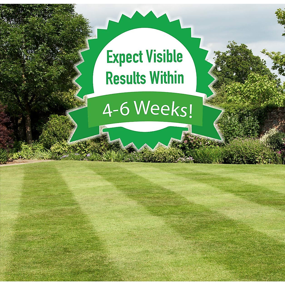 Peterals Dog Wee Neutraliser - Natural Rocks to Prevent Urine Burn Patches on Lawns - for Outdoor Use to Stop Dog Pee Killing Grass