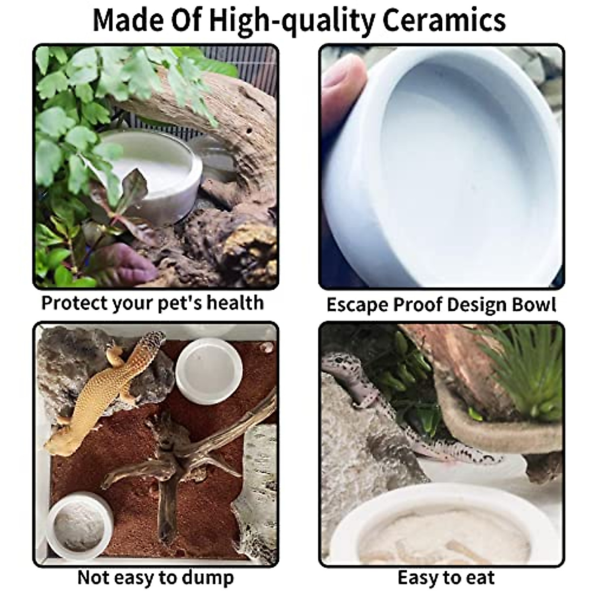 Reptile Food Water Bowl Set Lizard Feeder Ceramics Bowls Worm Live Fodder Container for Bearded Dragon Chameleon Lizard Hermit Crab Gecko Tortoise Spider Pet 3 Pieces