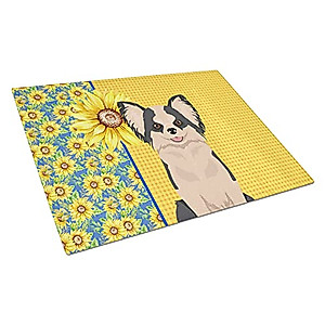 Caroline's Treasures WDK5362LCB Summer Sunflowers Longhaired Black and White #2 Chihuahua Glass Cutting Board Large Decorative Tempered Glass Kitchen Cutting and Serving Board Large Size Chopping Boar