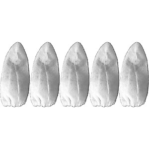 MHYYT Replacement Vacuum Filter Cotton for Pool Blaster Water Tech Centennial Filter(5 Pack)