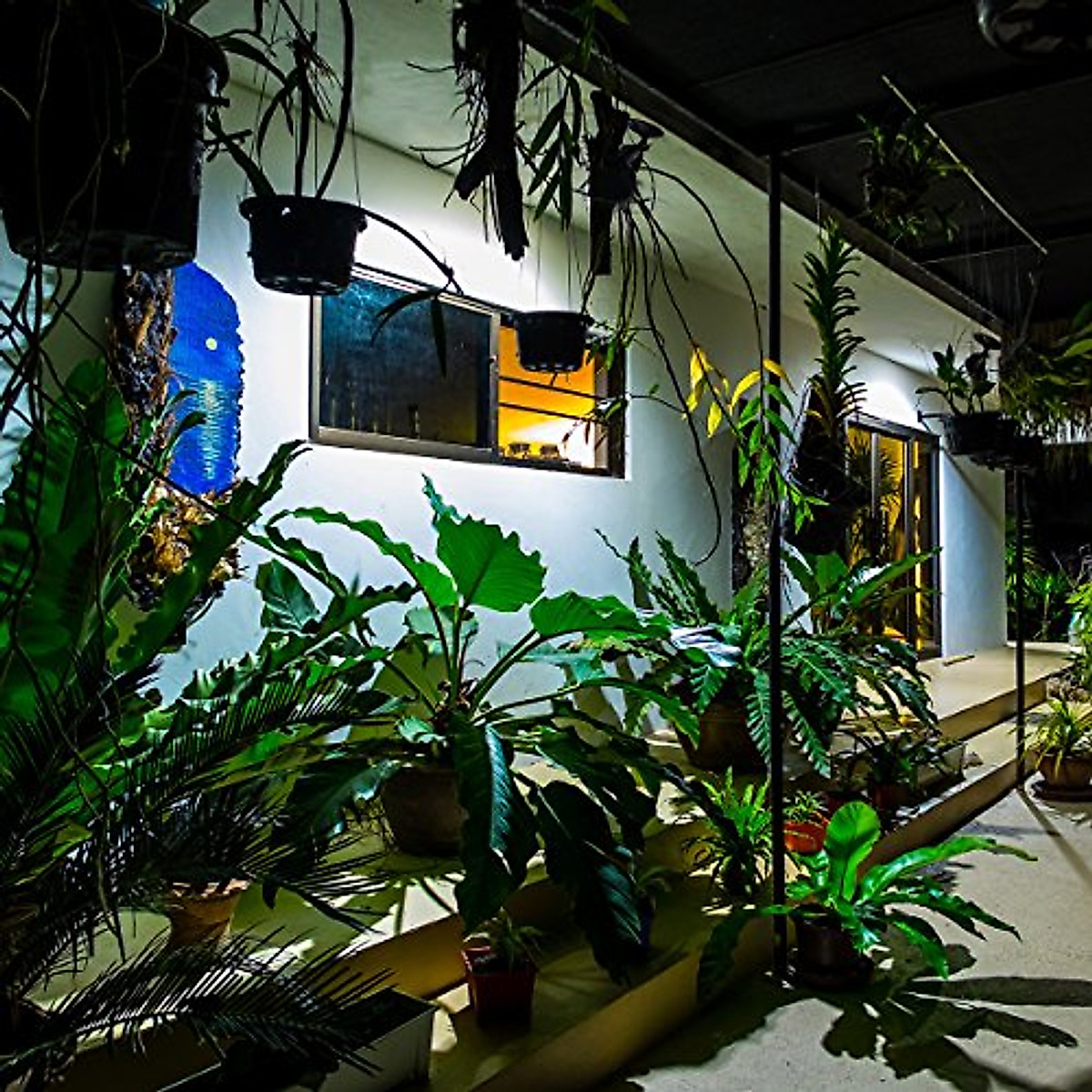 TOPELE 1100LM LED Flood Light, LED Outdoor Security Light, Exterior Flood Lights Fixture with CREE LED Source for Landscape Light, Commercial, Home, Garden, Yard, Waterproof, Brown, 5000K