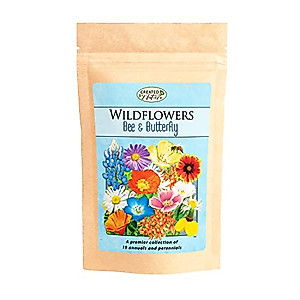 Bee and Butterfly Wildflower Seeds - Bulk Flower Seed Mix with Over 30,000 Premium Seeds- Stunning Blooms - Attracts Pollinators, Bees, Butterflies - Perennial, Annual