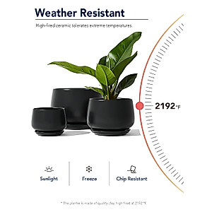 LE TAUCI Plant Pots, 4.1+5.1+6.5 inch, Set of 3, Ceramic Planters with Drainage Hole and Saucer, Indoor Flower Pot with Hole Mesh Pad, Gifts for Mom, Black