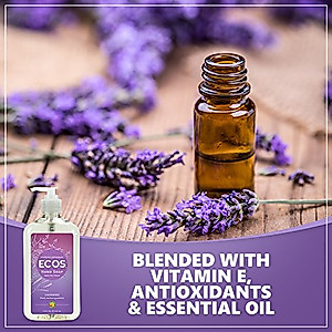 ECOS Hypoallergenic Hand Soap - All Natural pH-Balanced Handwash Soap with Vitamin E - Safe for Sensitive Skin - Lavender - 17 Oz Bottle (6 pack)