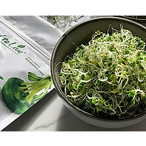 Organic Broccoli Seeds for Sprouting, 1 Pound – Non-GMO, Vegan, Kosher, Sirtfood, Bulk. Rich in Sulforaphane, Vitamin C. Grow Sprouts, Microgreens for Salads, and Sandwiches. High Germination Rate.