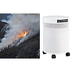 Airpura V600 Air Purifier for Home, V600 True HEPA Filter, Helps to eliminate thousands of airborne particles from air
