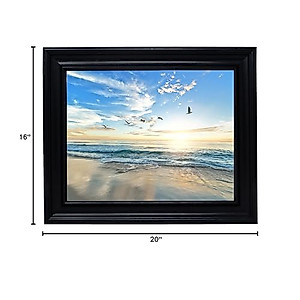 Smashed Banana 16x20 Black Museum Gallery Picture Frame - Extra Wide Curved Molding - Display Photos Posters or Artwork - Premium Designer Profile