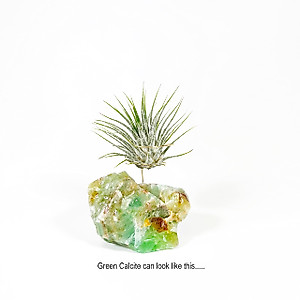 Green Calcite Crystal Air Plant Holder Gift Includes Healthy Live Air Plant and Gift Box Great Gift for Friend Co-worker or Neighbor