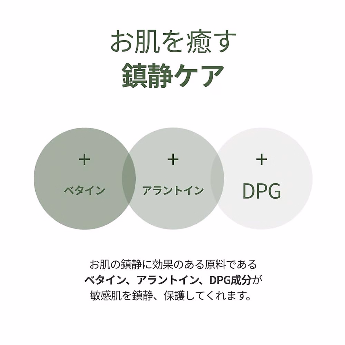 ROUND LAB Mugwort Calming Toner 300ml / Madecassoside, Soothing, Water Type Toner