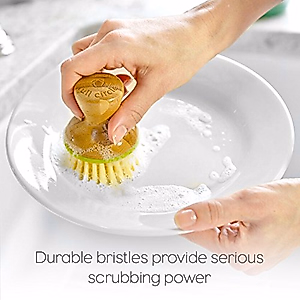 Full Circle Bubble Up Dish Brush, White (Pack of 6)