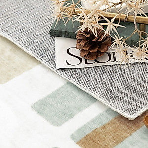 DECOMALL ANNIKA Washable Door Mat, Modern Abstract Geometric Non-Shedding Small Rugs for Entrance Welcome Mat, Multi 2’x3’