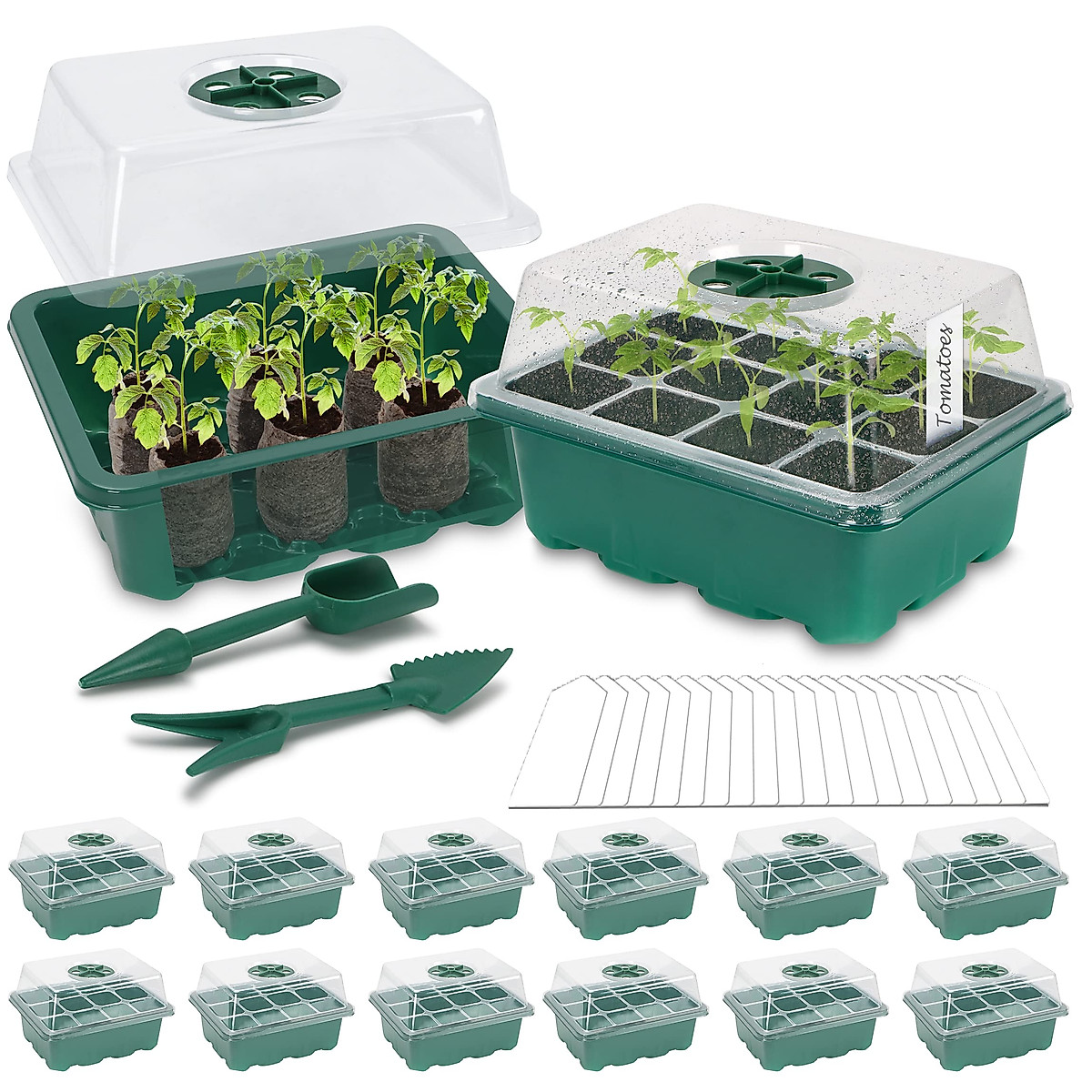 HOXHA 12 Pack Seed Starter Tray Kit, 144 Cell Indoor Seedling Starting Trays with Humidity Dome Base Mini Greenhouse Plant Germination Set for Seeds Growing, 12 Pack 12 Cell