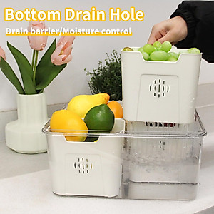 Fruit Storage Containers for Fridge, Fridge Organizer Containers for Food, Fruit Containers with Lid, Divided Serving Tray with Handle, Kitchen Organizers and Storage for Fruit Berry Veggie Vegetable