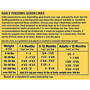 Grain Free Salmon, Sweet Potato & Pumpkin Recipe, Dry Dog Food, 12 Lb, No Artificial Flavors, Colors, Or Preservatives