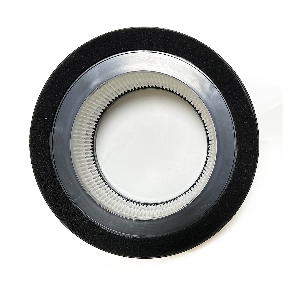 Nispira Replacement Filter L True HEPA + Activated Carbon Pre Filter Compatible with GermGuardian Air Purifier AC4200W FLT4200, 2 Packs