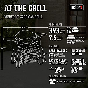 Weber 57067001 Q3200 Portable Natural Gas Grill Titanium Bundle with Premium 2 YR CPS Enhanced Protection Pack