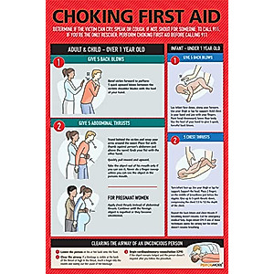 Safety Choking Victim Poster Measures 12" x 18", Choking First Aid Poster for Infants, Kids, Pregnants, and Adults, First Aid Guide Quick Reference Guide, Laminated by Ring Binder Depot