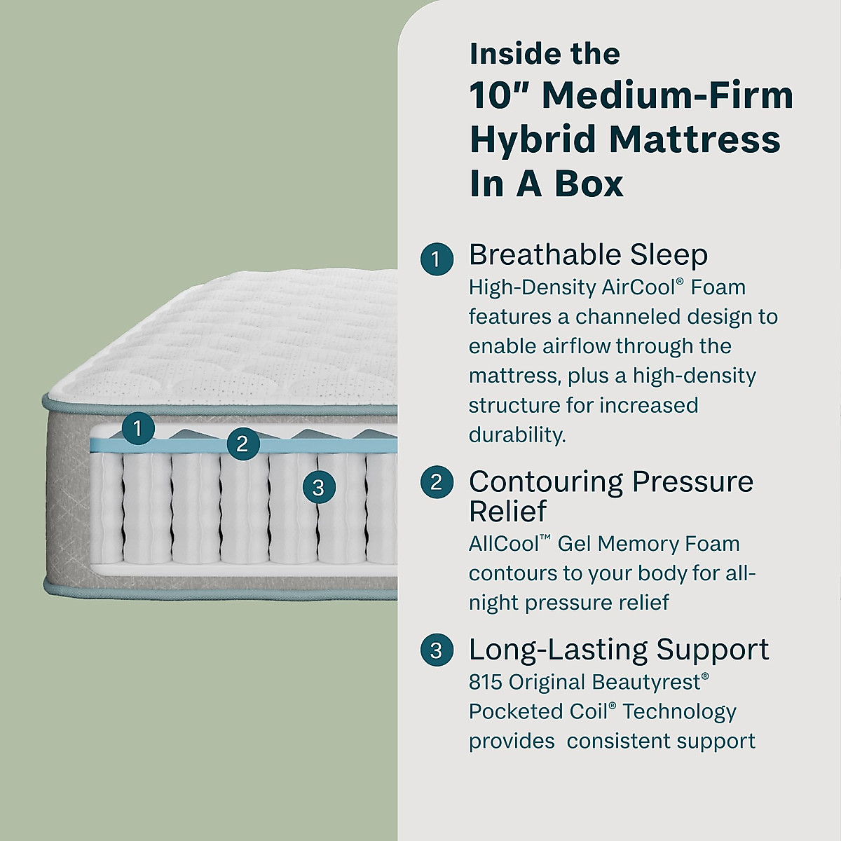 Beauty Sleep Midnight Slumber Medium Firm 10" Queen Hybrid Mattress in a Box, Cooling, Breathable, and Pressure Relieving - 100 Night Trial, CertiPUR-US Certified and 10 Year Limited Warranty