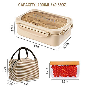 NatraProw Bento Box Adult Lunch Box with Bag, Lunch Containers for Adults, Leakproof Lunch Box for Adult, BPA Free, 3 Compartment Bento Box Microwave safe, Lunch Bag with Containers Included, Khaki